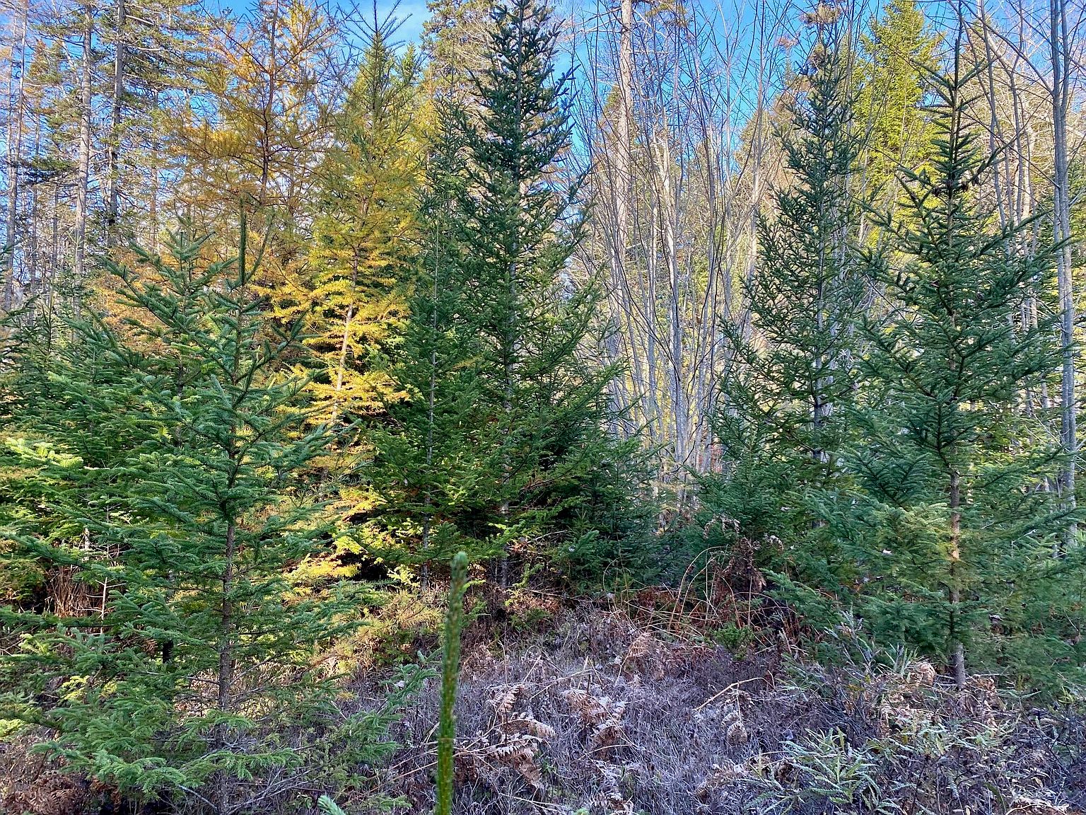 00 Hadlock Road, Southwest Harbor, ME 04679 | Zillow