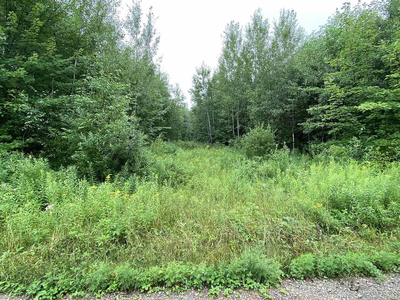 ON JOE SNOW ROAD LOT Sale 2044-4, Merrill, WI 54452 | Zillow