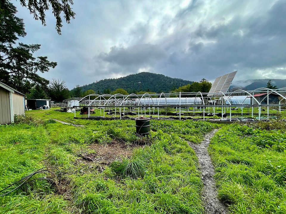 29336 Mattole Rd, Petrolia, CA 95558 | MLS #265823 | Zillow