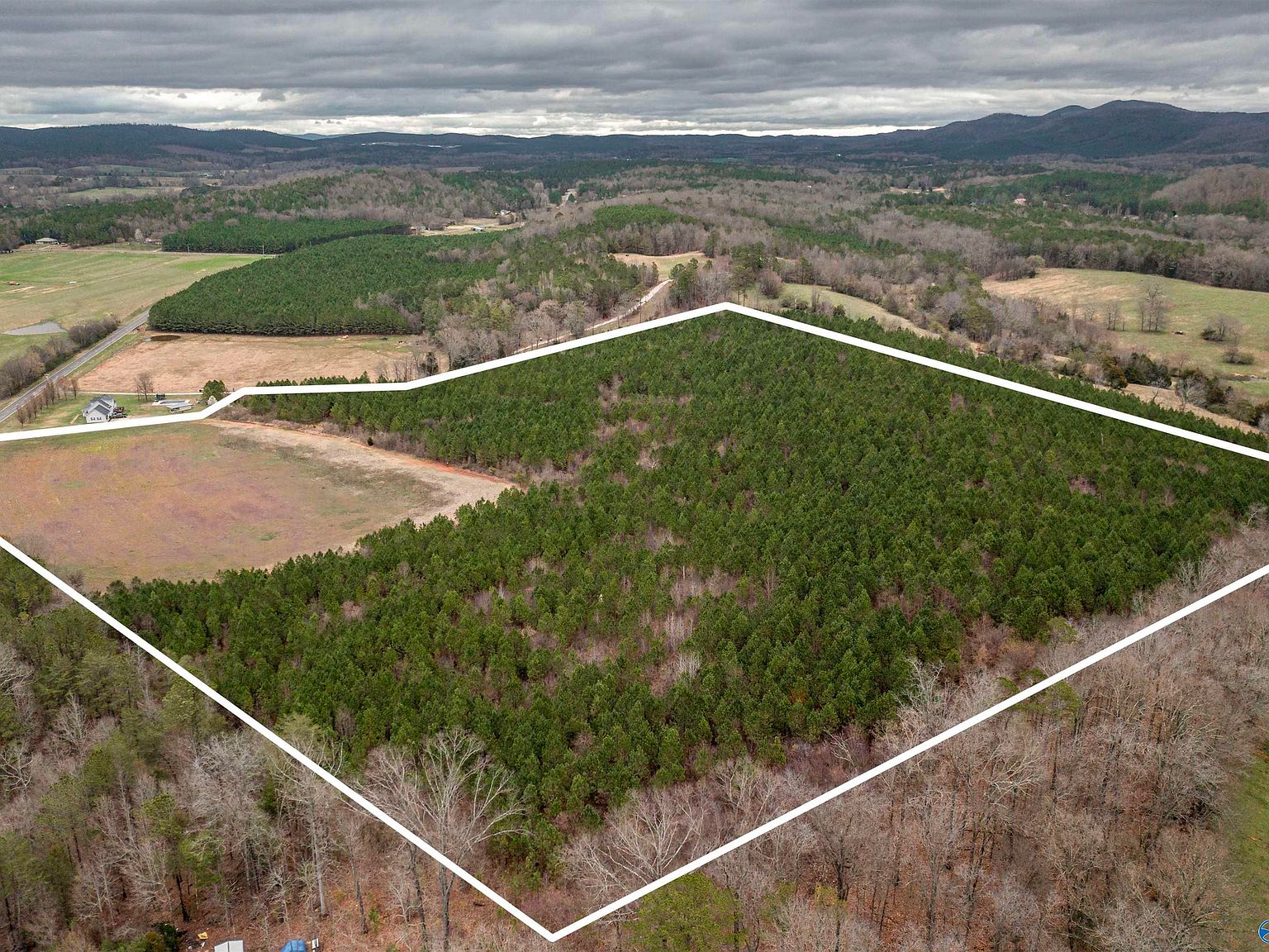 County Road 29, Piedmont, AL 36272 | MLS #21863828 | Zillow