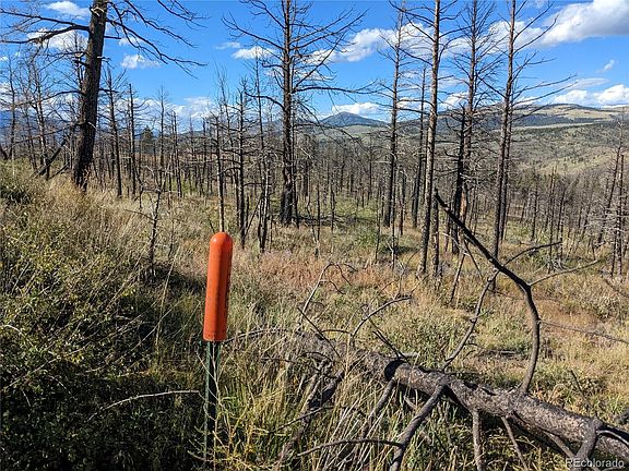 296 Wagon Mesa Loop, Fort Garland, CO 81133 | Zillow
