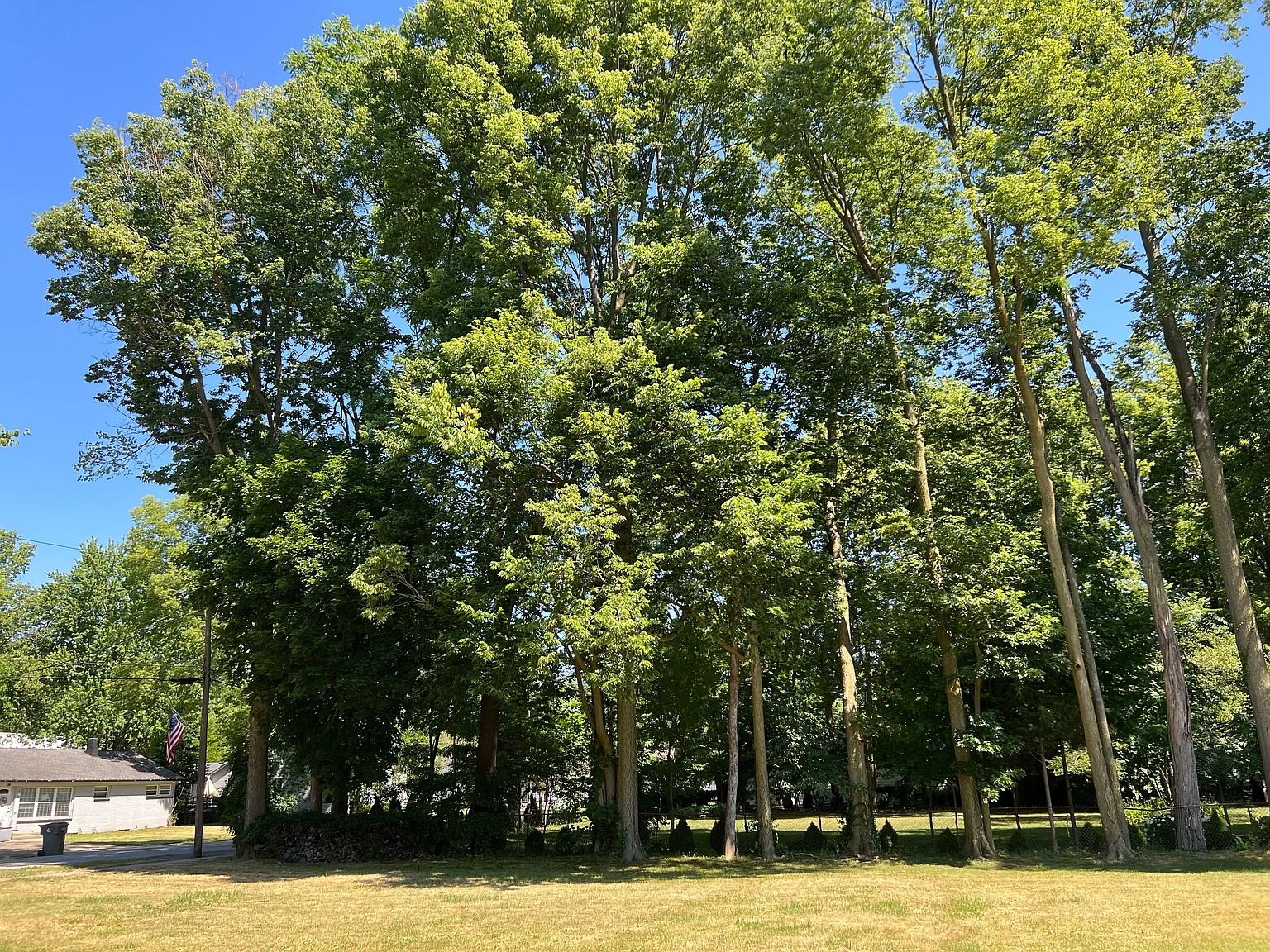47 Market St, Indianapolis, IN 46227 | Zillow