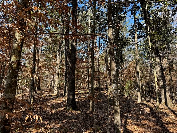 Castor Plunge Rd, Woodworth, LA 71485 | MLS #11254569 | Zillow