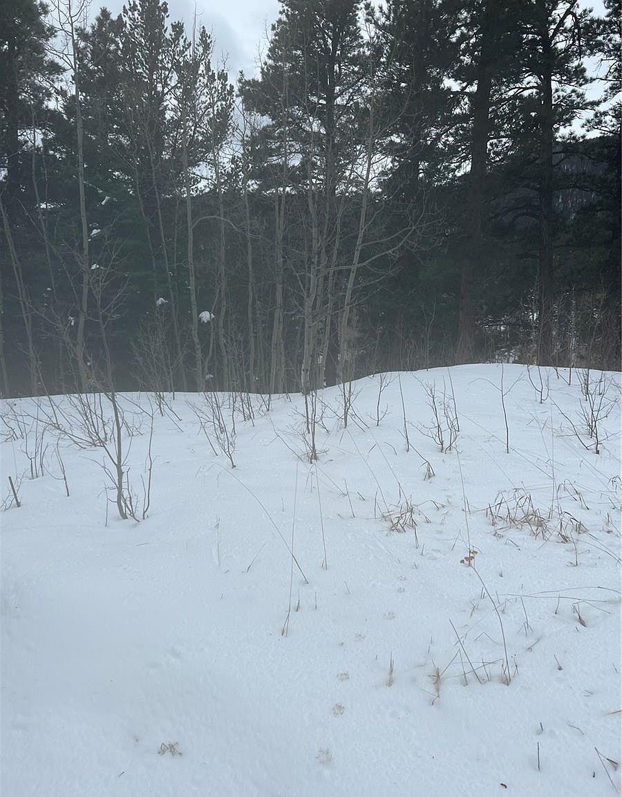 Lake Isabel Drive LOT 4, Rye, CO 81069 | MLS #4322710 | Zillow