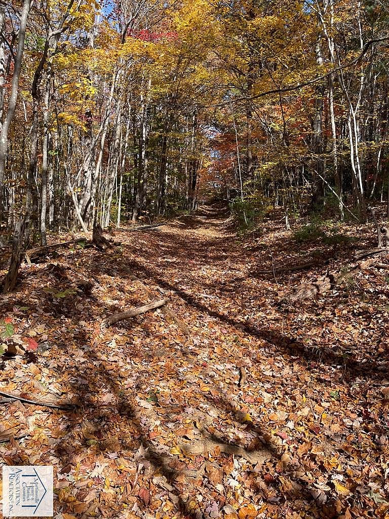 Stone Creek Rd, Woolwine, VA 24185 | MLS #140903 | Zillow