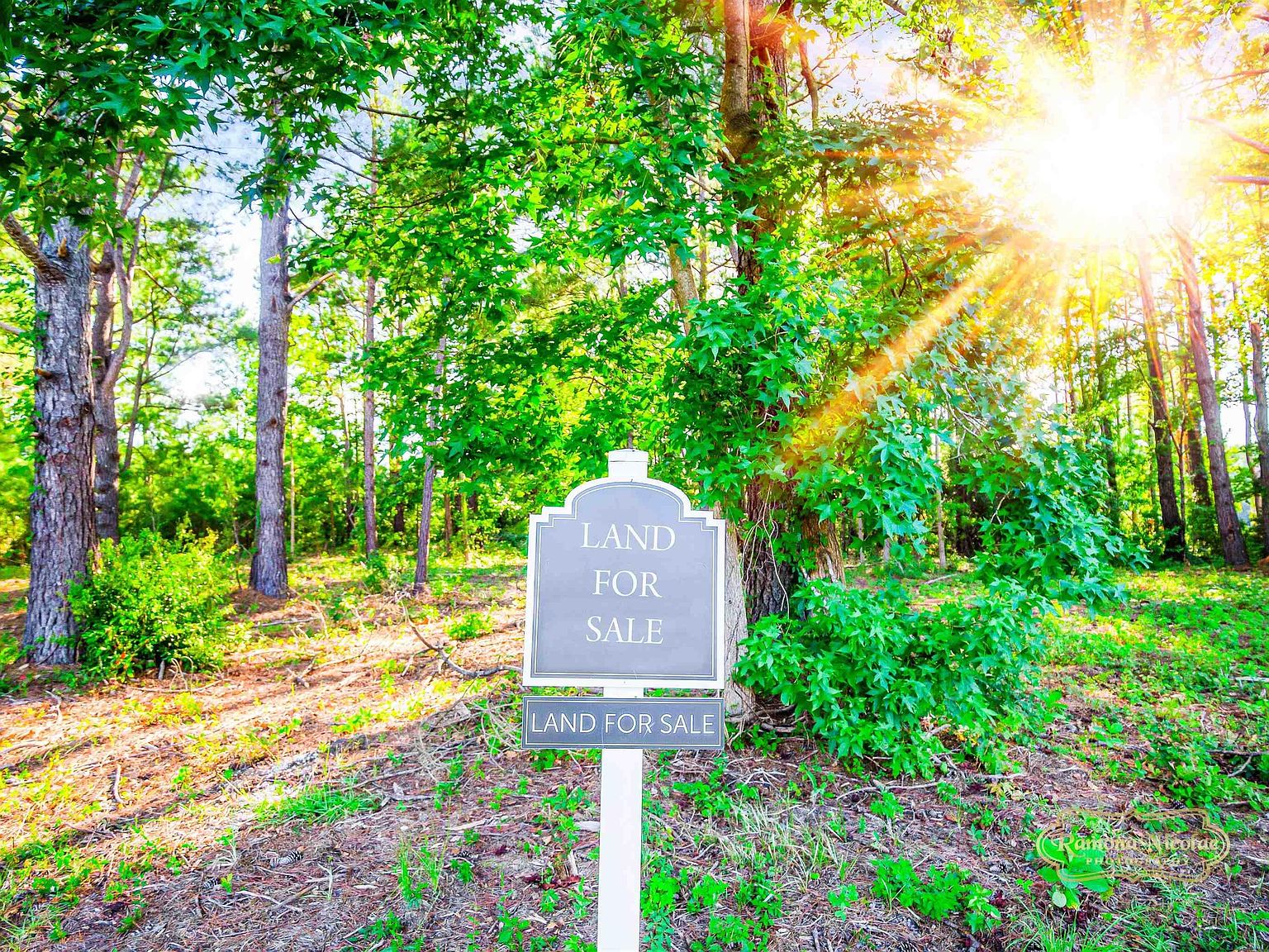 1009 Happy Ln., Galivants Ferry, SC 29544 | Zillow