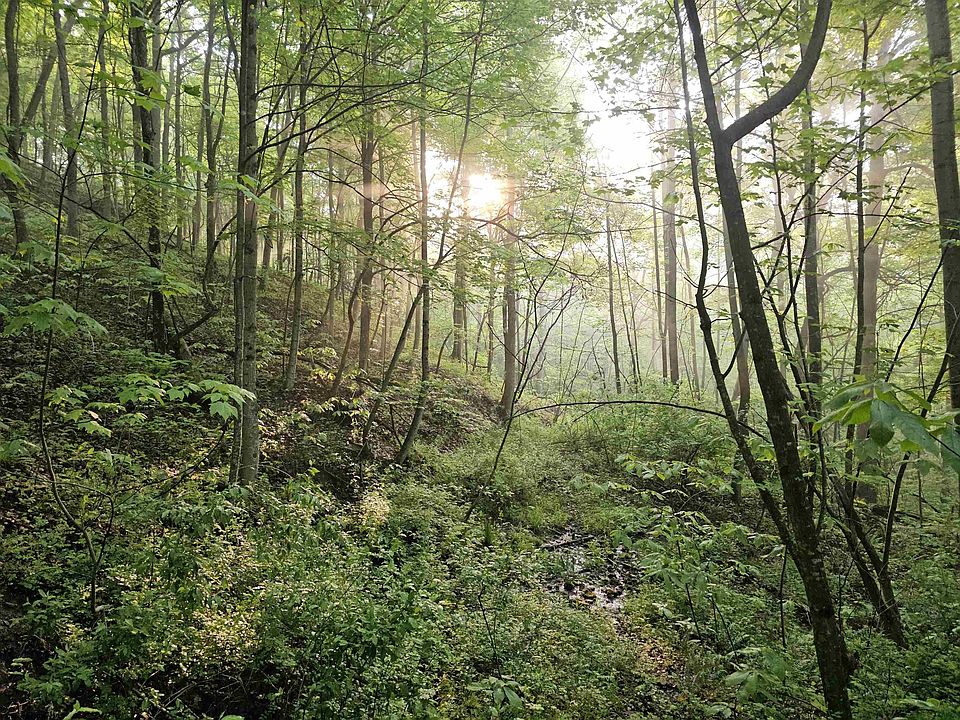 TRACT One John Orr Sand Plant Rd, Independence, WV 26374 | MLS ...