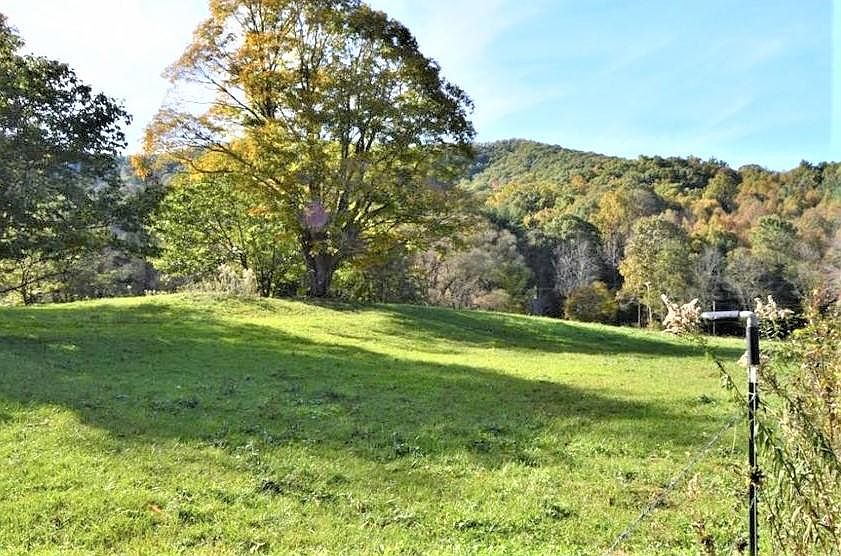 Shell Creek Rd, Roan Mountain, TN 37687 | Zillow