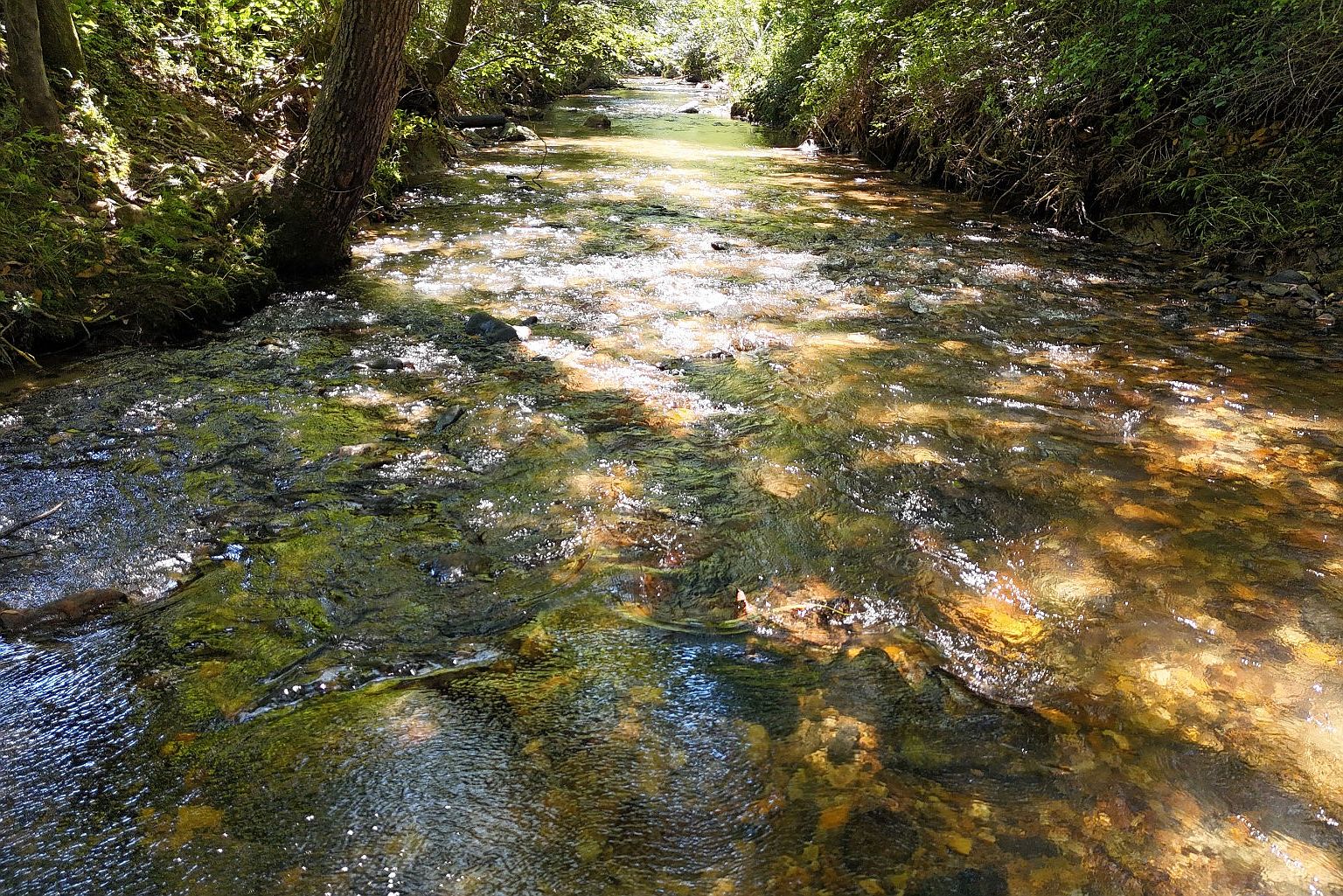 187 Owen Vis, Blairsville, GA 30512 | MLS #328386 | Zillow