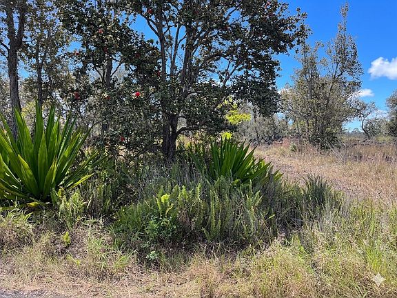 Cocoanut Dr Lot 32, Ocean View, HI 96737 | MLS #730427 | Zillow