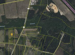 1 Freedom Rd, Branchville, SC 29432 | MLS #44704 | Zillow