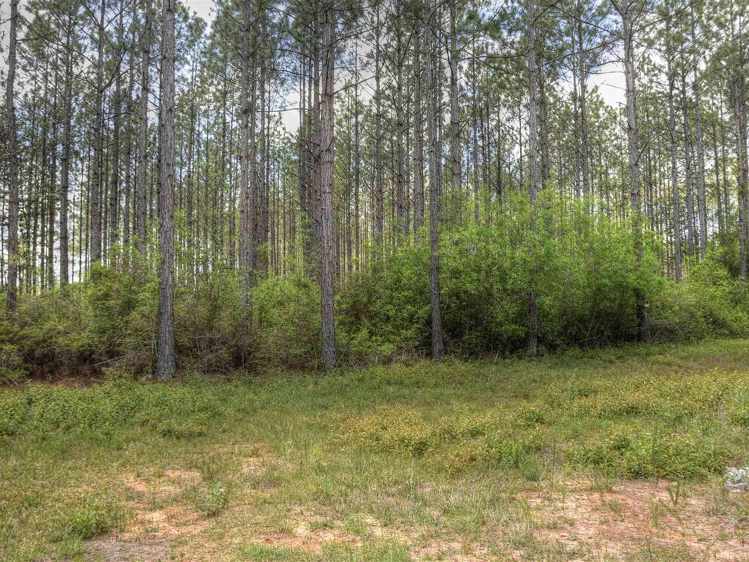 Sandy Ramp Rd, Defuniak Springs, FL 32433 | Zillow