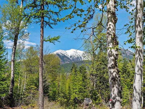 14156 Orvis Evans Dr, Bigfork, MT 59911 | Zillow