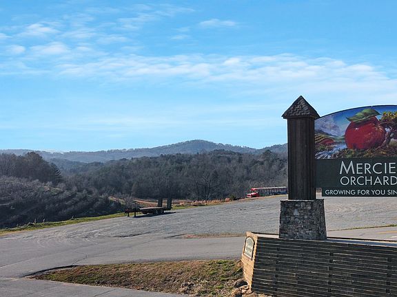 196 Grayson Point, Blue Ridge, GA 30513 | MLS #10358268 | Zillow