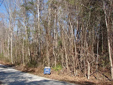 L40 Blue Top Rd Jacksonville NC | Zillow