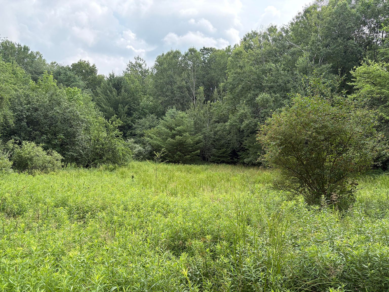 11546 E 3 1/2 Mile Rd, Luther, MI 49656 | MLS #25035896 | Zillow