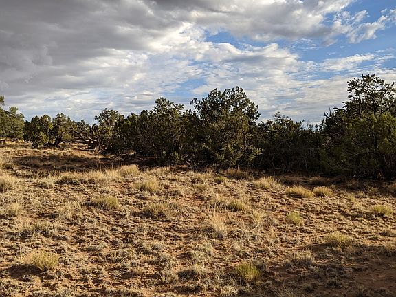 LOT 193 Woodland Valley Ranch St, Saint Johns, AZ 85936 | MLS #240295 ...