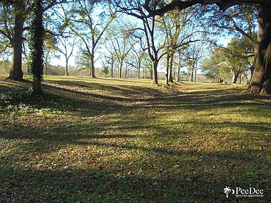 4531 Step Rd, Wallace, SC 29596 | Zillow