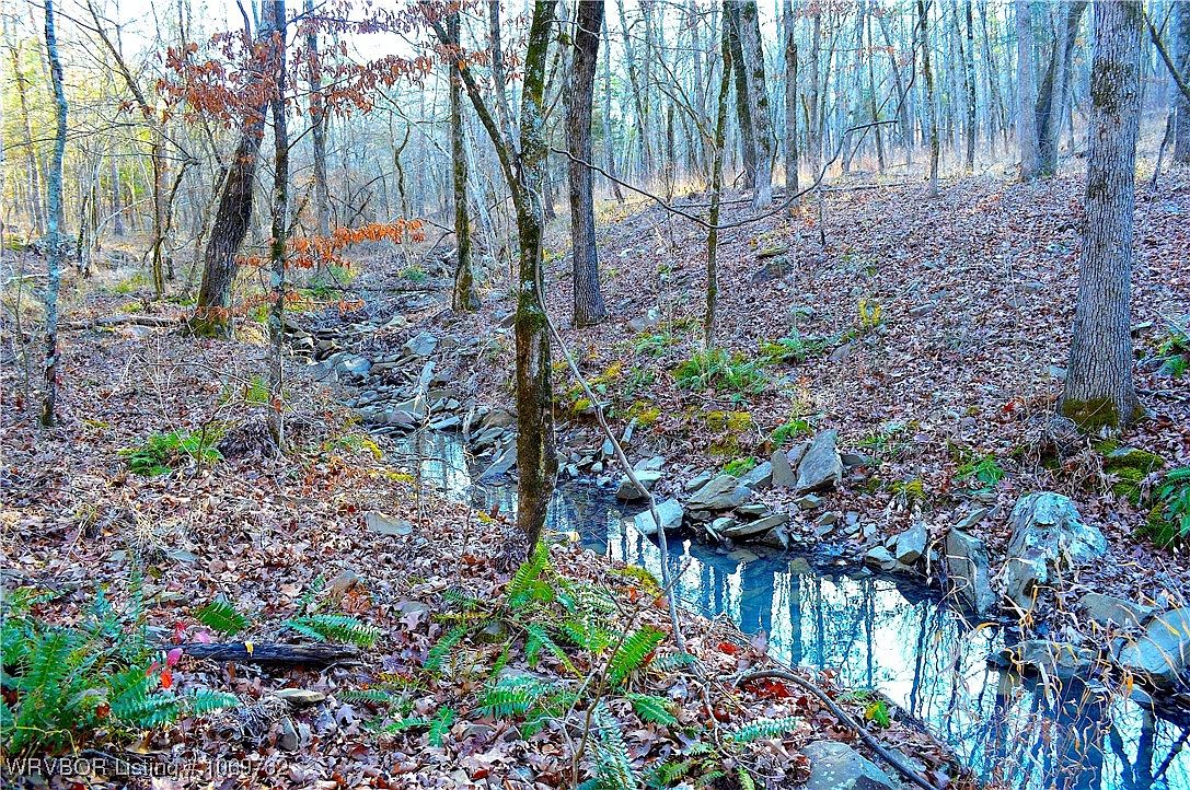 Henry Mountain Forrest Service Rd, Waldron, AR 72958 | MLS #1069762 ...