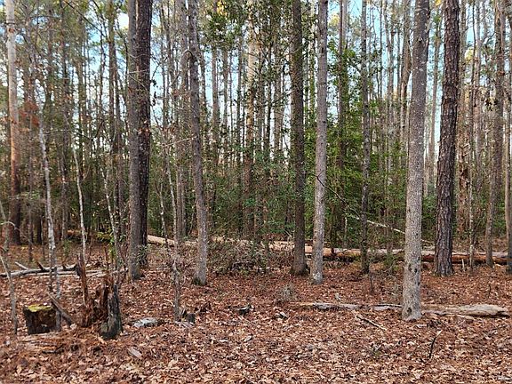 113 Buck Dr, Hopkins, SC 29061 | MLS #603331 | Zillow