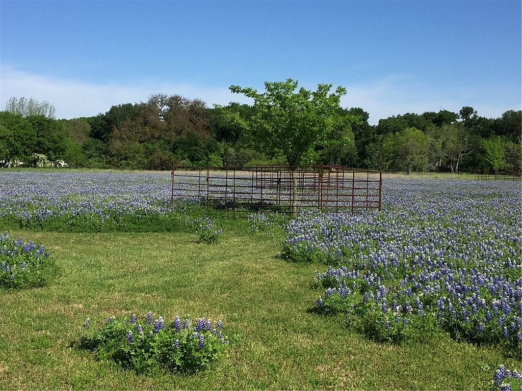 16218 Oxbow Trl, Buda, TX 78610 | MLS #6215782 | Zillow