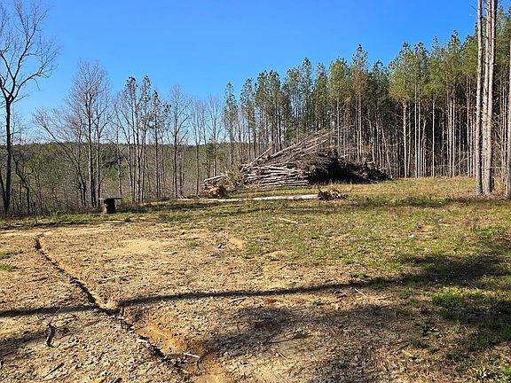 7C Summer Jade Pvt Ln, Robbins, TN 37852 | Zillow