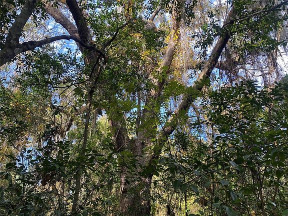 Spring Garden Ranch Rd #6, De Leon Springs, FL 32130 | Zillow