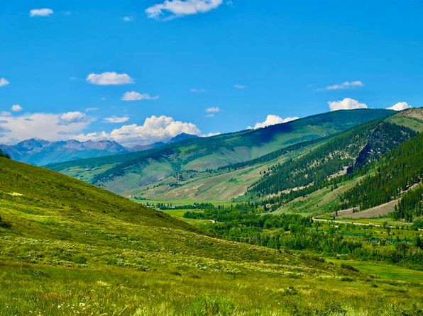 Almont Real Estate - Almont CO Homes For Sale | Zillow