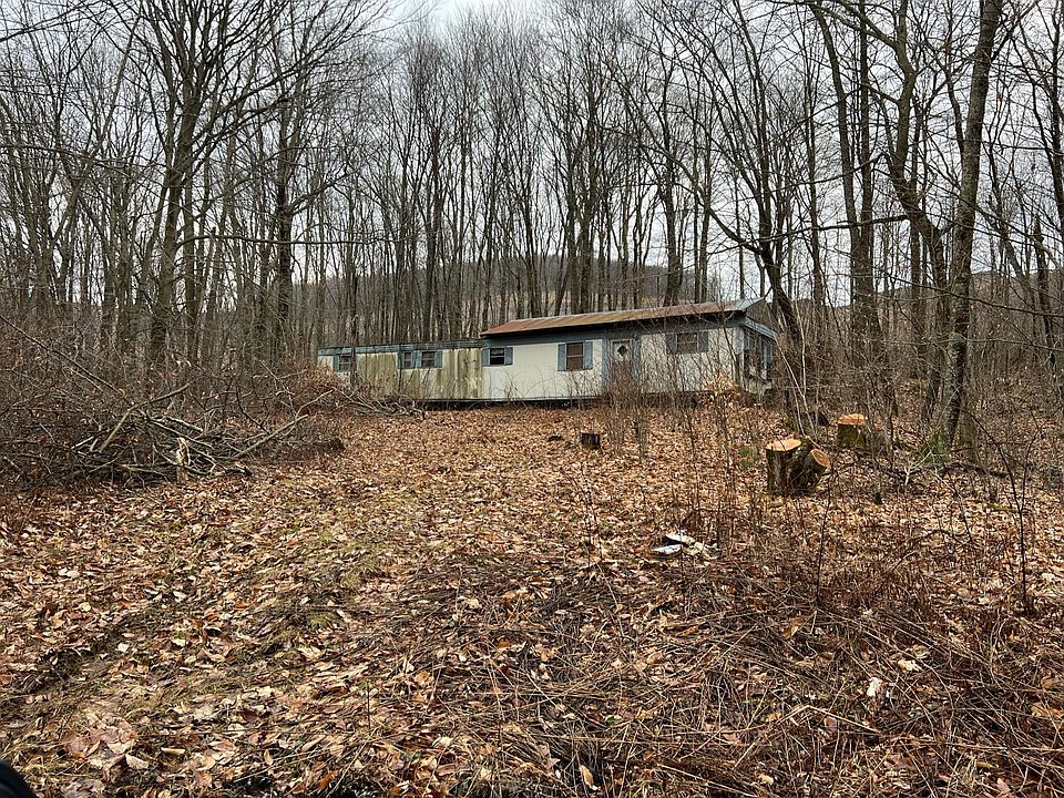Big Mountain Rd, Rupert, WV 25984 | MLS #23-48 | Zillow