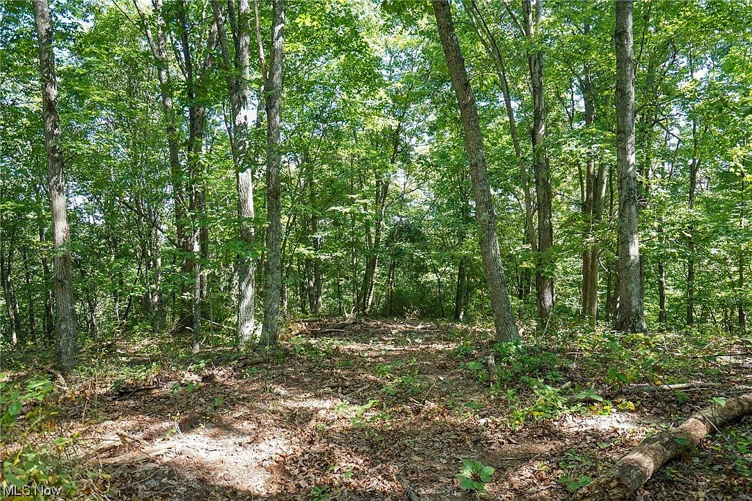 0 Gieke Rd, Oak Hill, OH 45656 | Zillow