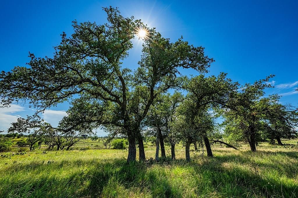 LOT 4 Old Harper Rd, Fredericksburg, TX 78624 | MLS #92494 | Zillow