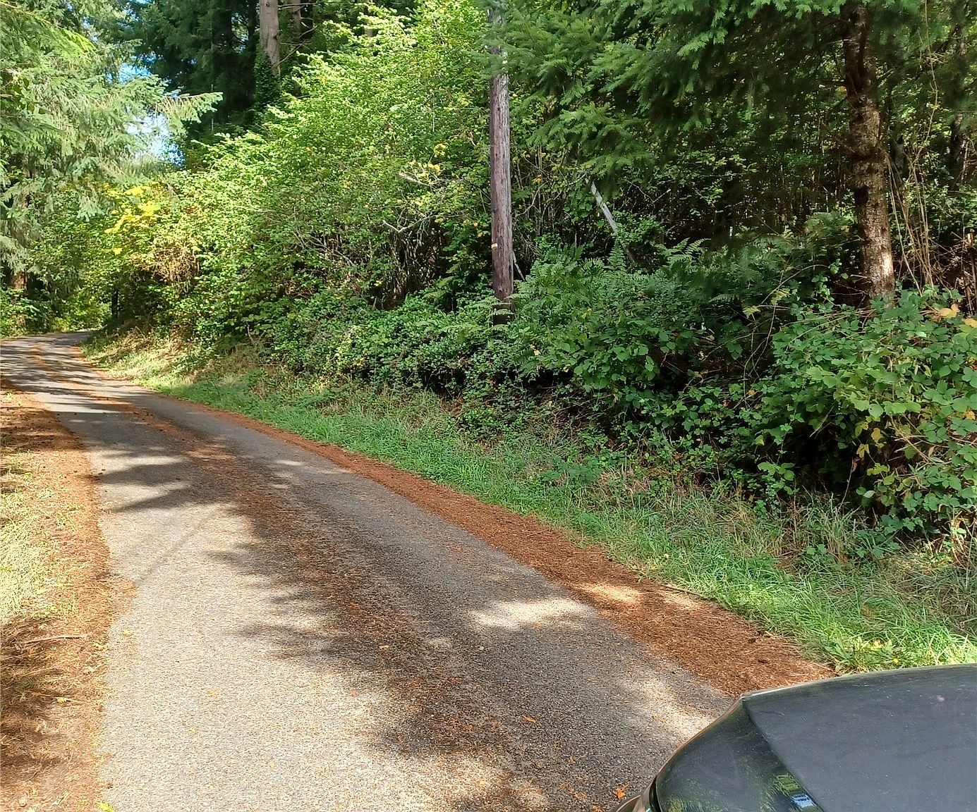 1301 Bayne Street, Centralia, WA 98531 | Zillow