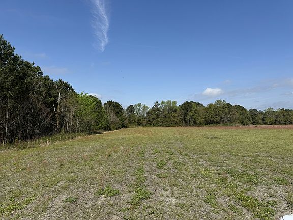 Dovetail Rd, Timmonsville, SC 29161 | MLS #11469943 | Zillow