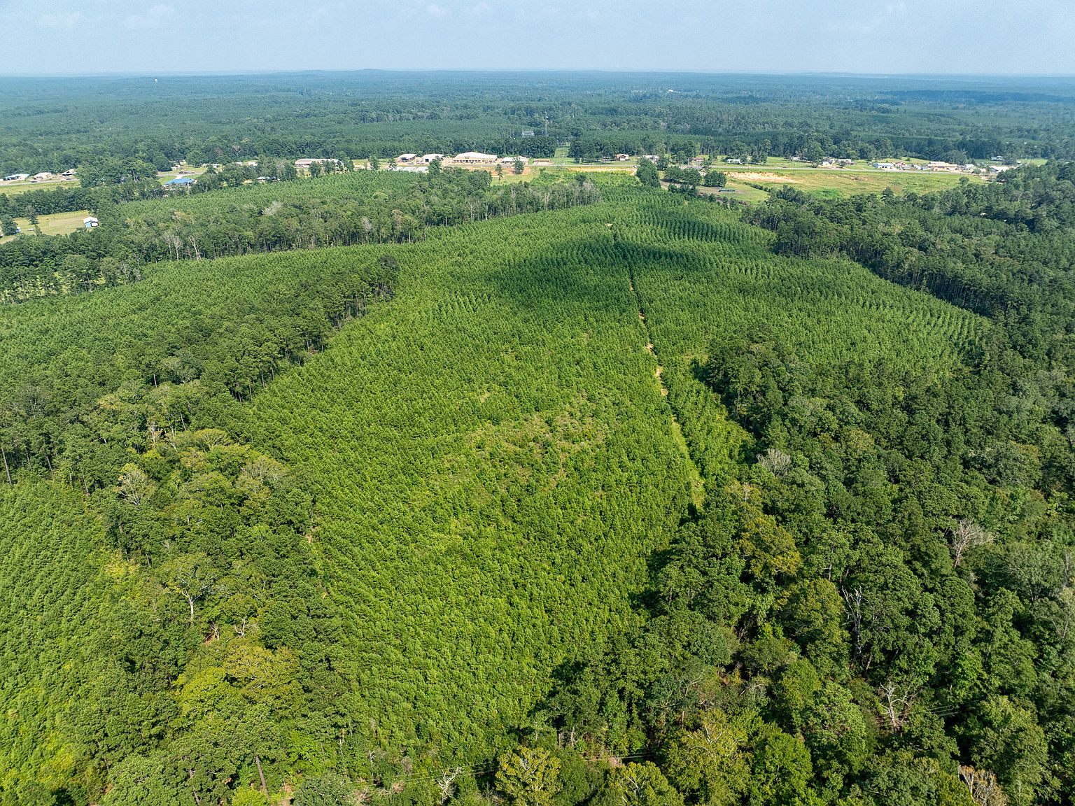 State Highway 87 S, Hemphill, TX 75948 | MLS #11445531 | Zillow