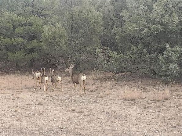 Los Ojos NM Real Estate - Los Ojos NM Homes For Sale | Zillow