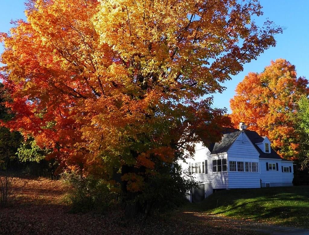 12907 Nys Rte #9N, Jay, NY 12941 | Zillow