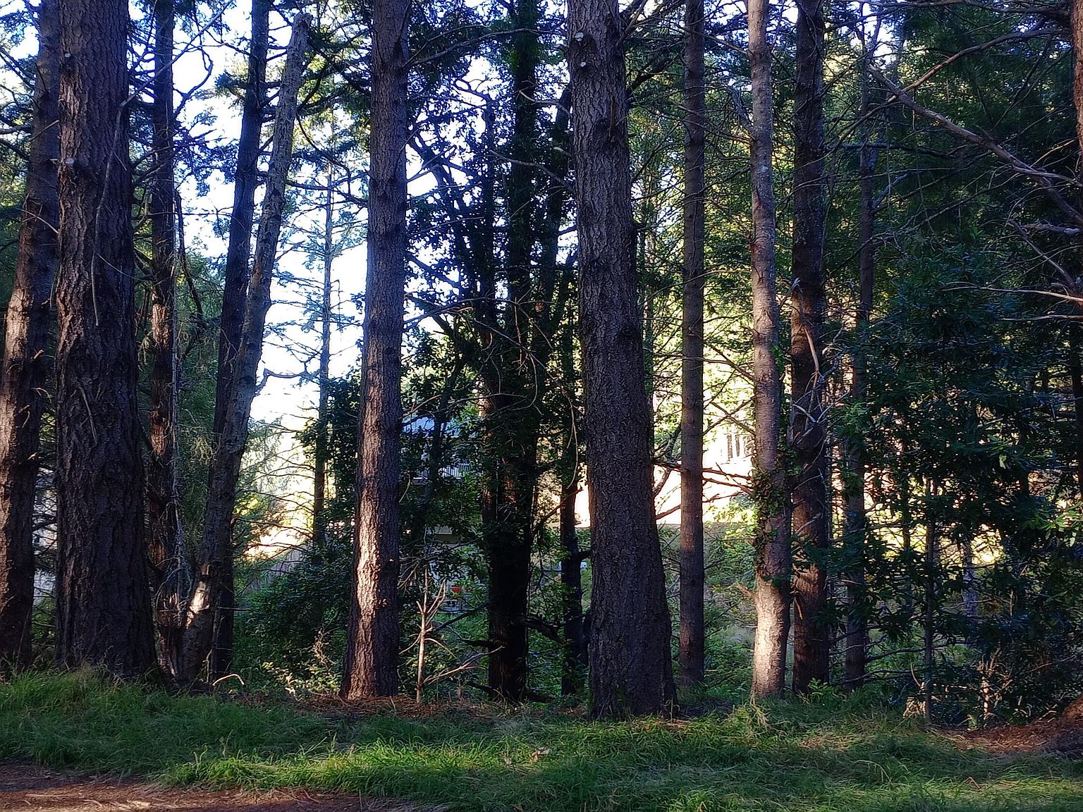 640 Spring Rd, Whitethorn, CA 95589 | MLS #268628 | Zillow