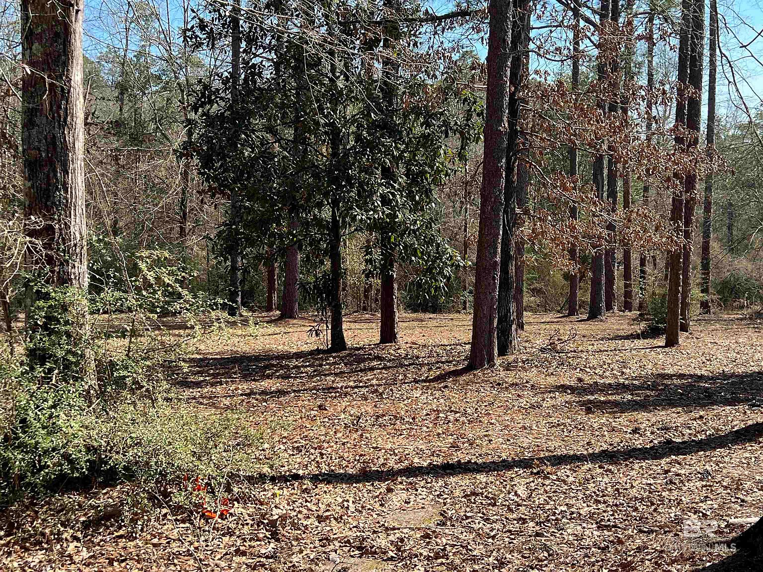 0 Brookwood Rd, Atmore, AL 36502 | MLS #358064 | Zillow
