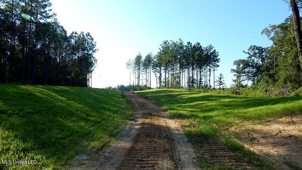 2000 Paul Shady Grove Rd, Cascilla, MS 38920 | Zillow