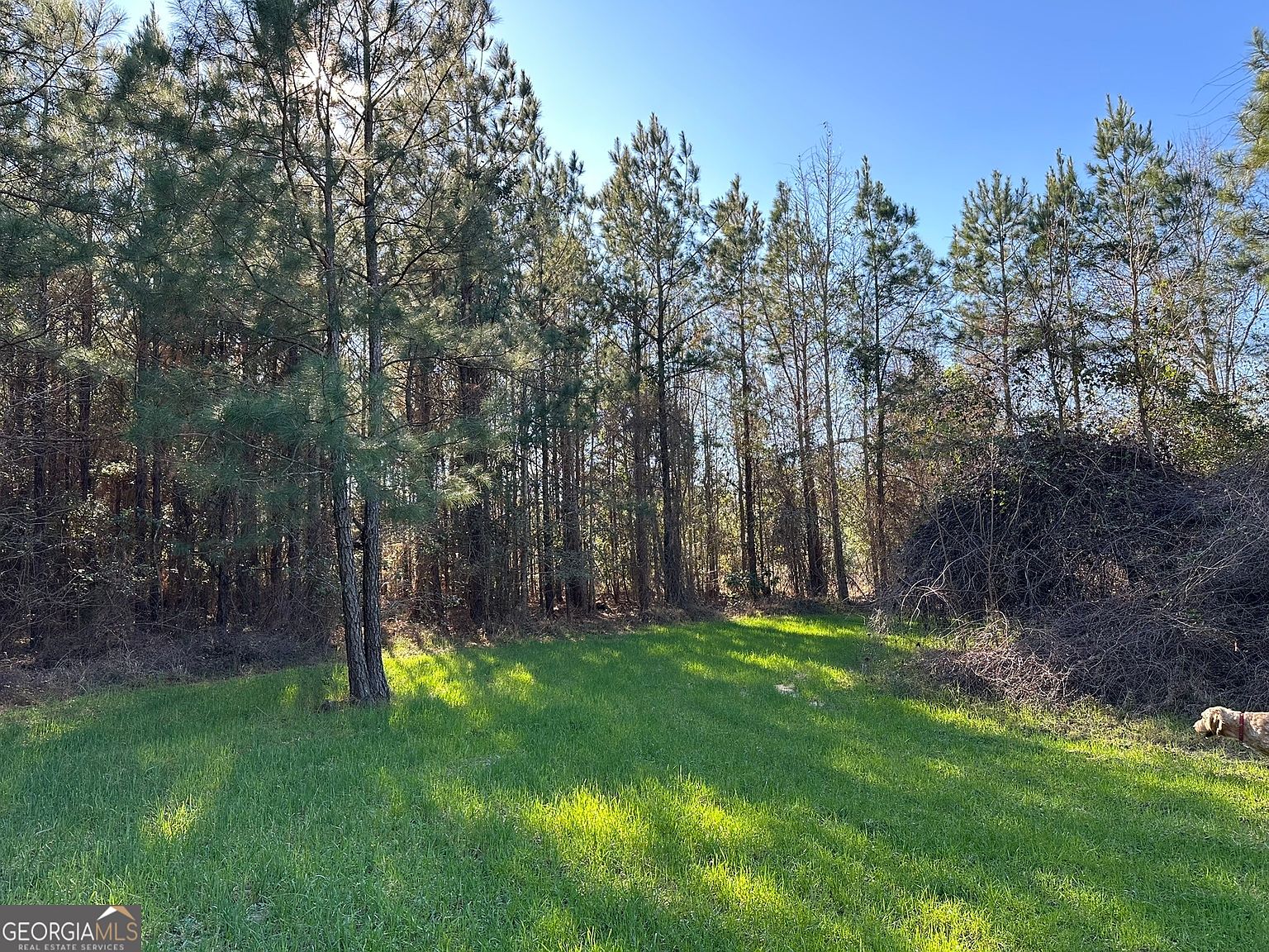 12 Mount Zion Rd, Gordon, AL 36343 | MLS #10605604 | Zillow