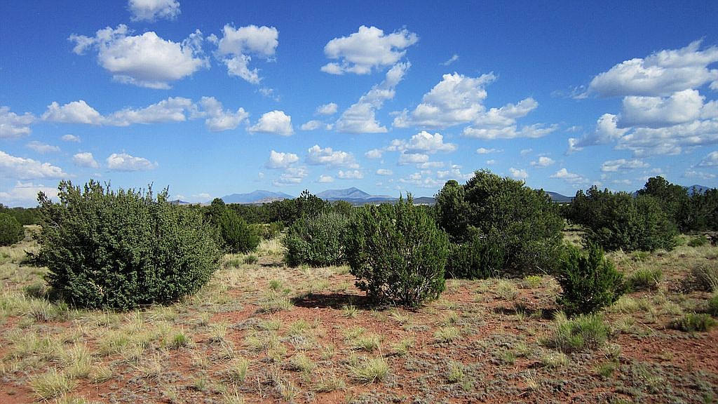 4213 E Wingfield Rd, Williams, AZ 86046 | Zillow