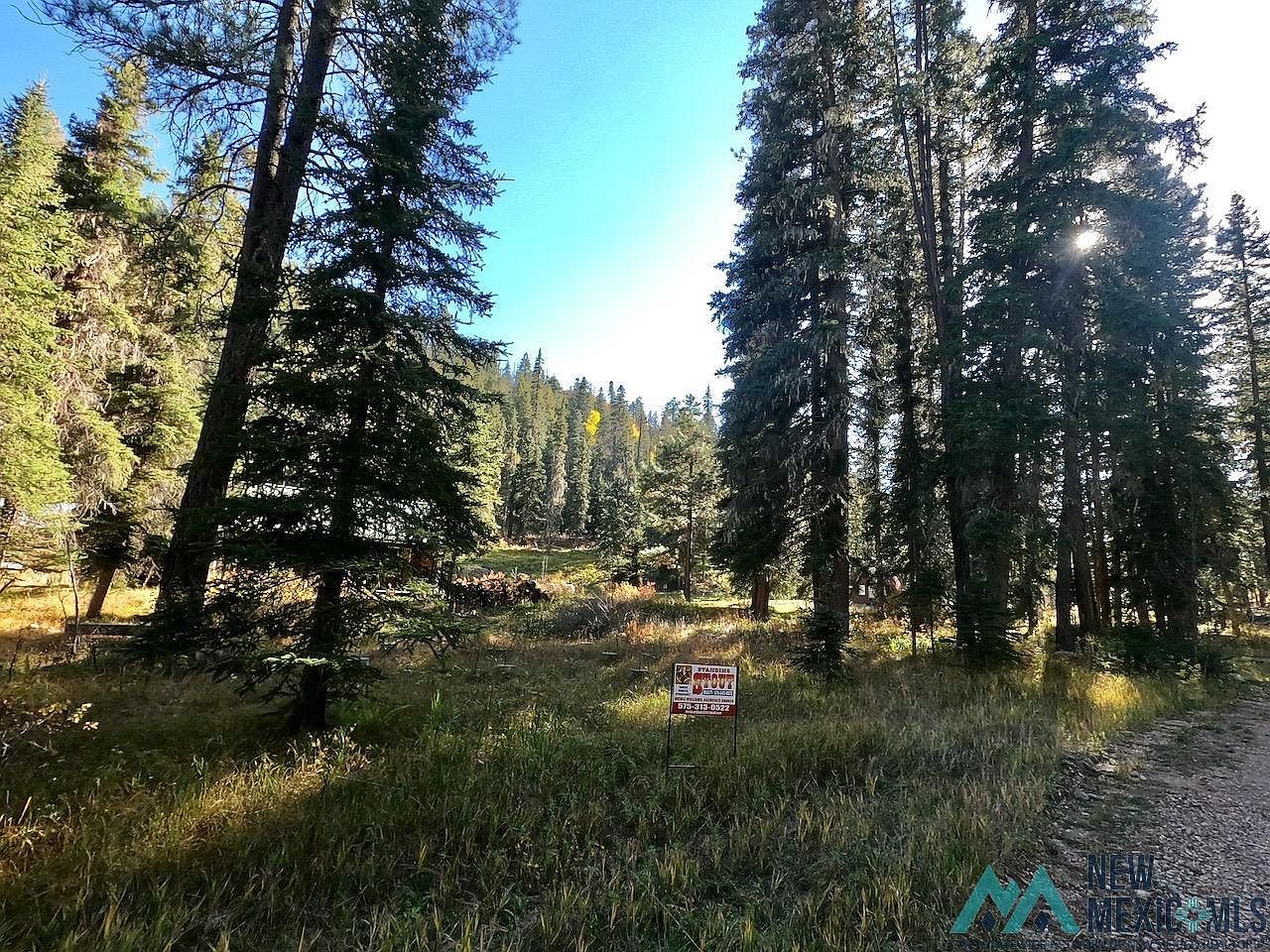 LOT SW 9xn Willow Creek Ranch Rd, Glenwood, NM 88039 | MLS #20235698 | Zillow