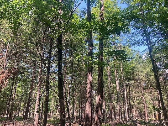 5 KELLAR DRIVE, Wausau, WI 54401 | MLS #22233509 | Zillow