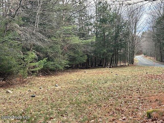 1A Nugent Road, Cropseyville, NY 12052 | MLS #202429237 | Zillow