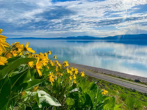 2904 S Edgemont Dr, Garden City, UT 84028 | MLS #2078665 | Zillow