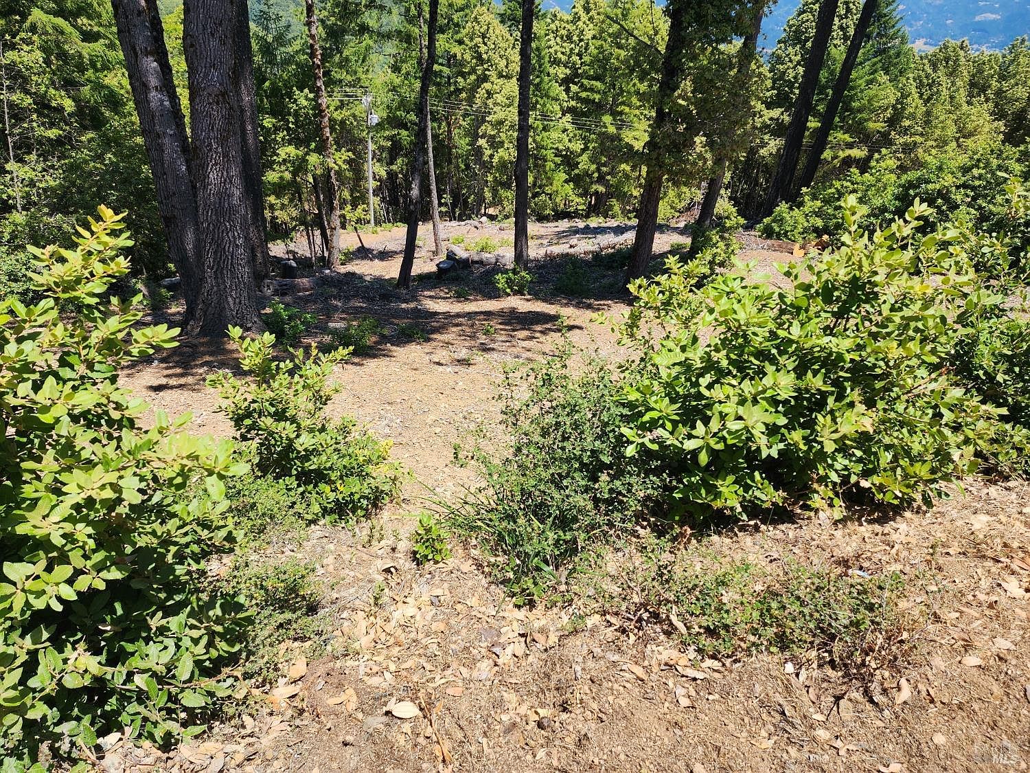 4350 Cahto Peak Drive, Branscomb, CA 95417 | MLS #324037349 | Zillow