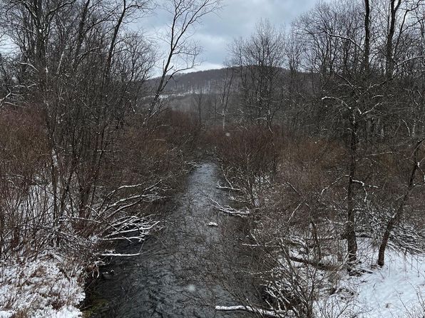 Genesee PA Real Estate - Genesee PA Homes For Sale | Zillow