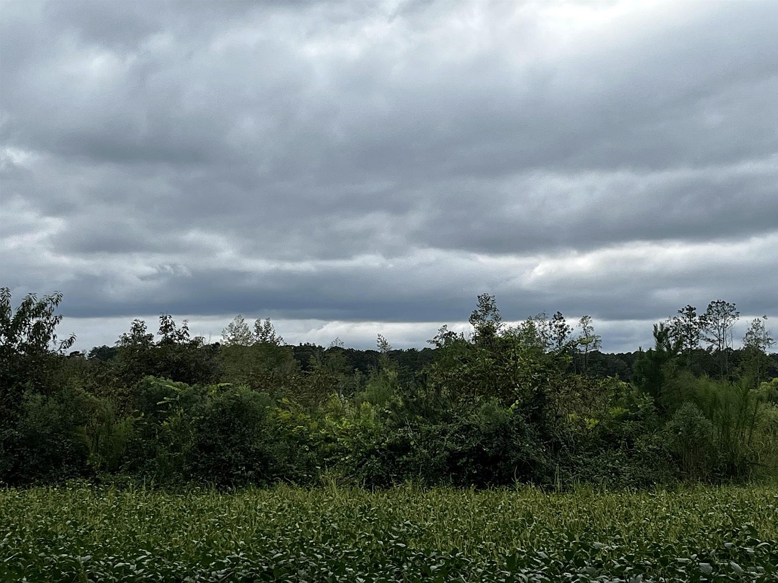 527 Sam Narron Rd #1, Middlesex, NC 27557 | Zillow