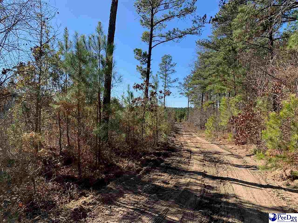 Harper Rd, Patrick, SC 29584 | Zillow