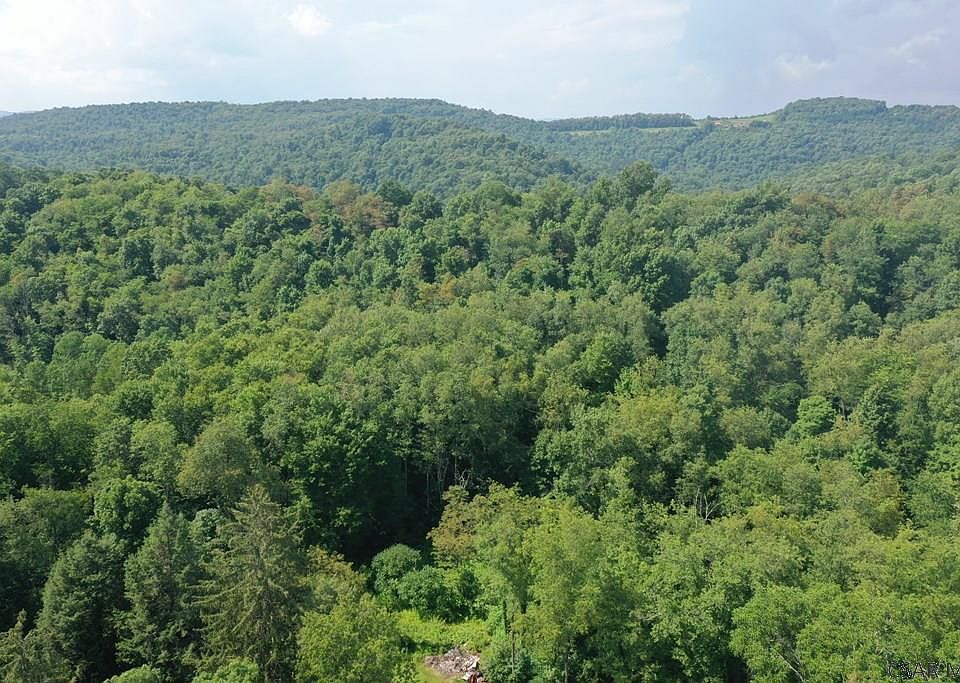 128 Lower Listonburg Rd, Confluence, PA 15424 | Zillow